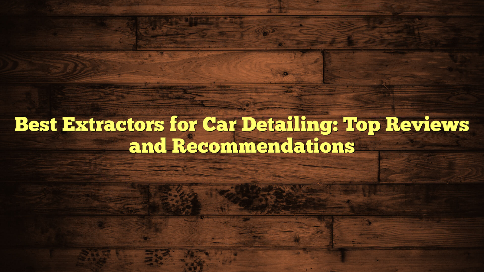 Best Extractors for Car Detailing: Top Reviews and Recommendations ...